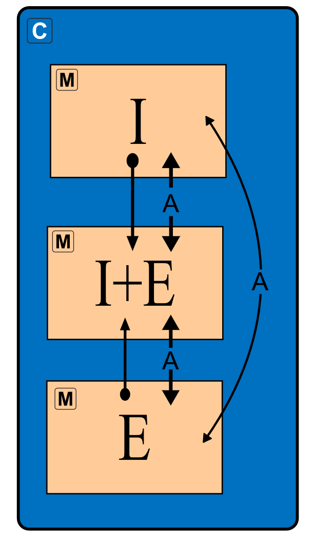 Tutorial CONCEPT • VIGO6